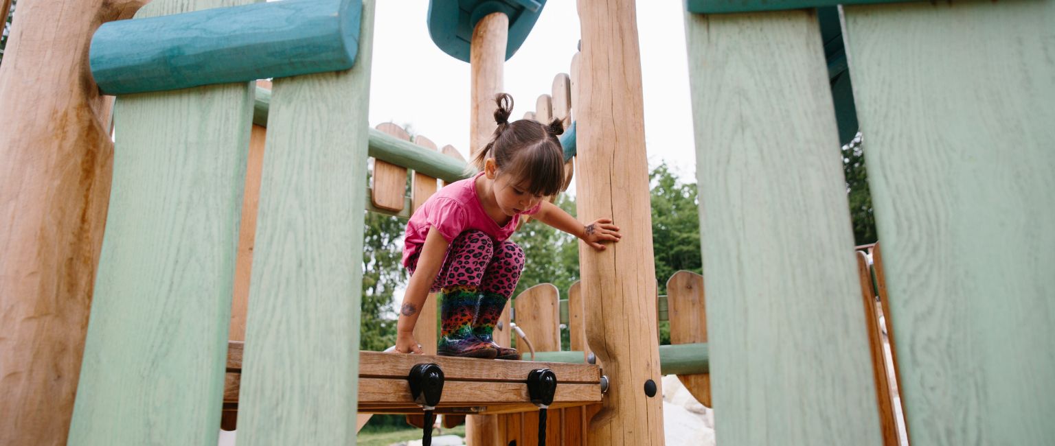 How play-based learning on the playground shapes future problem solvers ...
